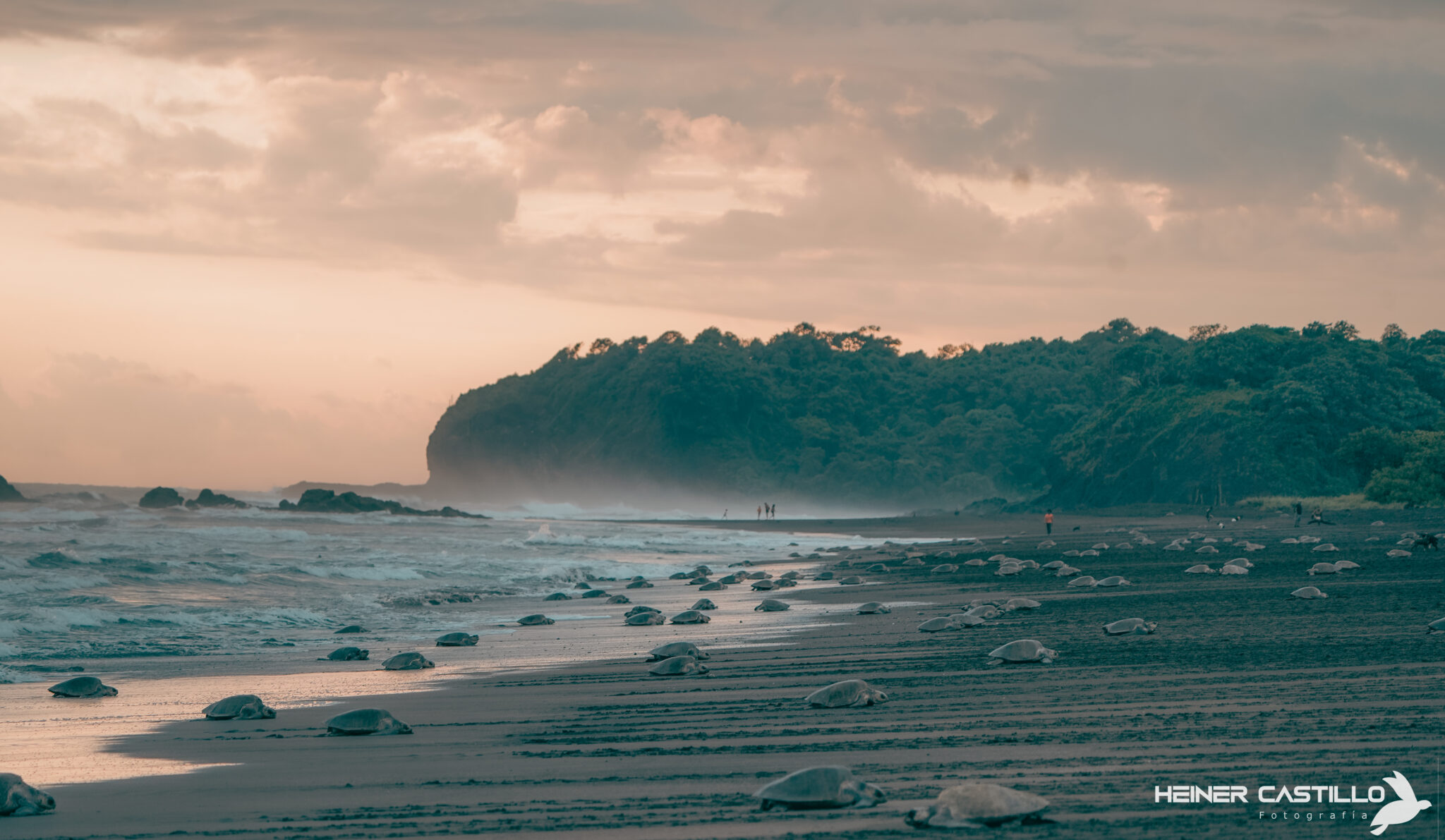 Top 5 Best Surf Spots in Nosara, Costa Rica | Sendero Hotel